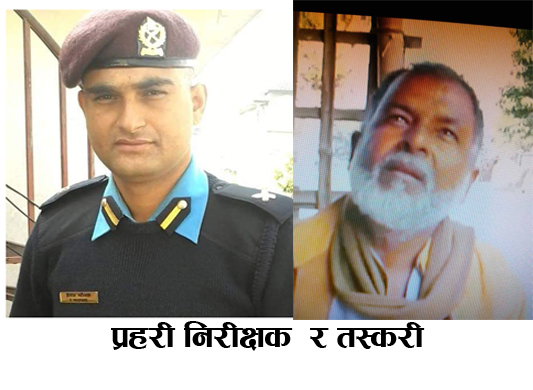 रंगेलीबाट खुलेयाम तस्करी, बल्लु र ताहिर मियाँलाई गाईगोरू, बरूण र ...